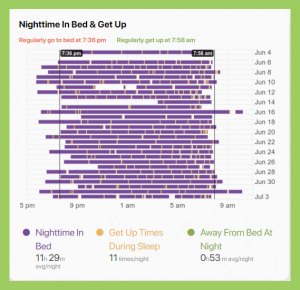 Case Study 1 Sleepsense (template) - Tochtech Technologies